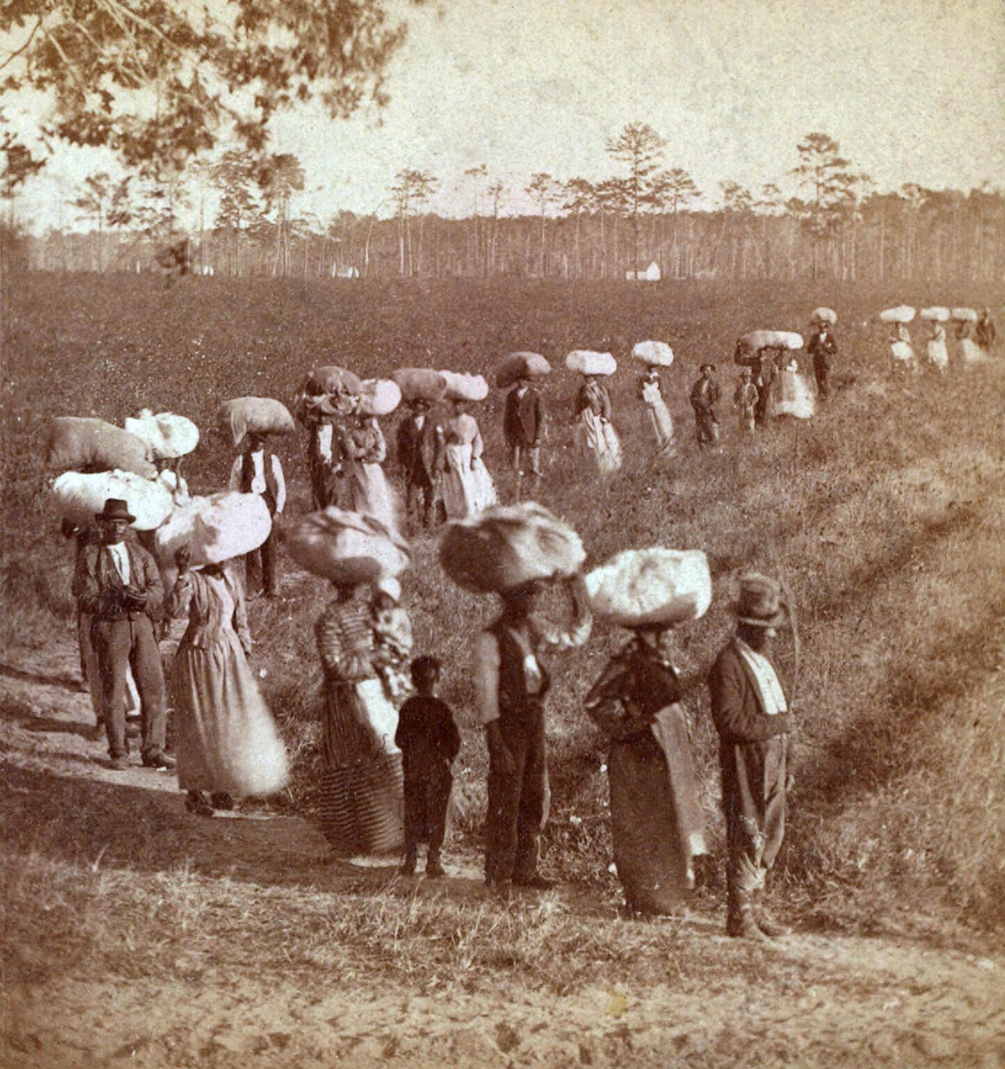 Esclavage dans les colonies européennes - Manifest