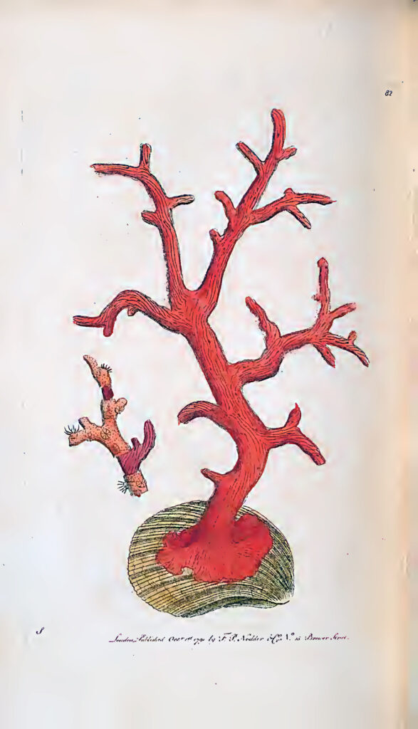 Mediterranean red coral: A European merchandise from the first wave of ...